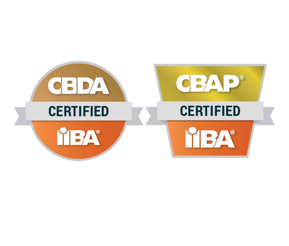 Business Analysis - Trevo Technologies